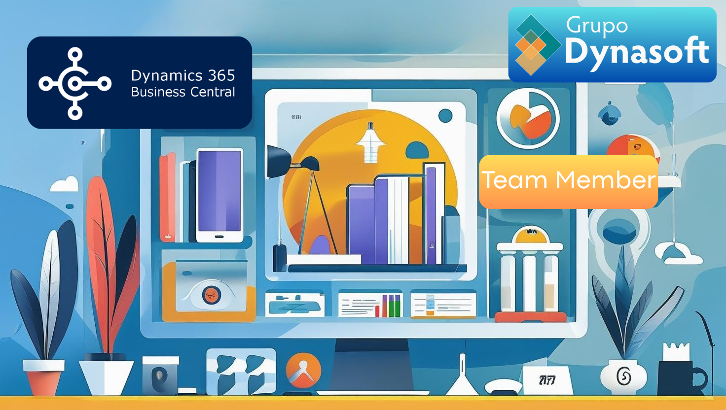 What can I do with a Team Member License in BC | Grupo Dynasoft | España